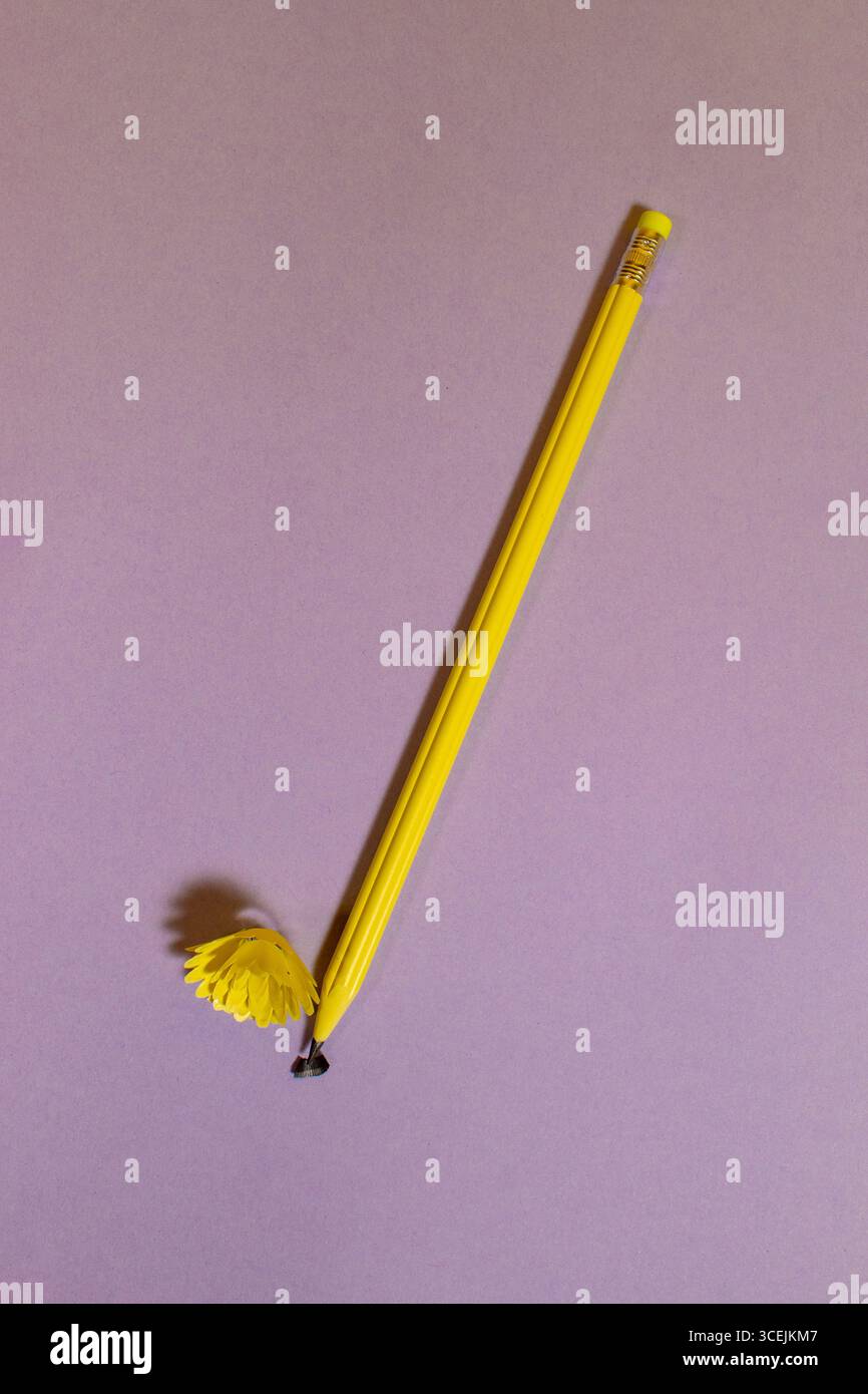 Yellow graphite pencils of purple surface. Back to school Stock Photo ...