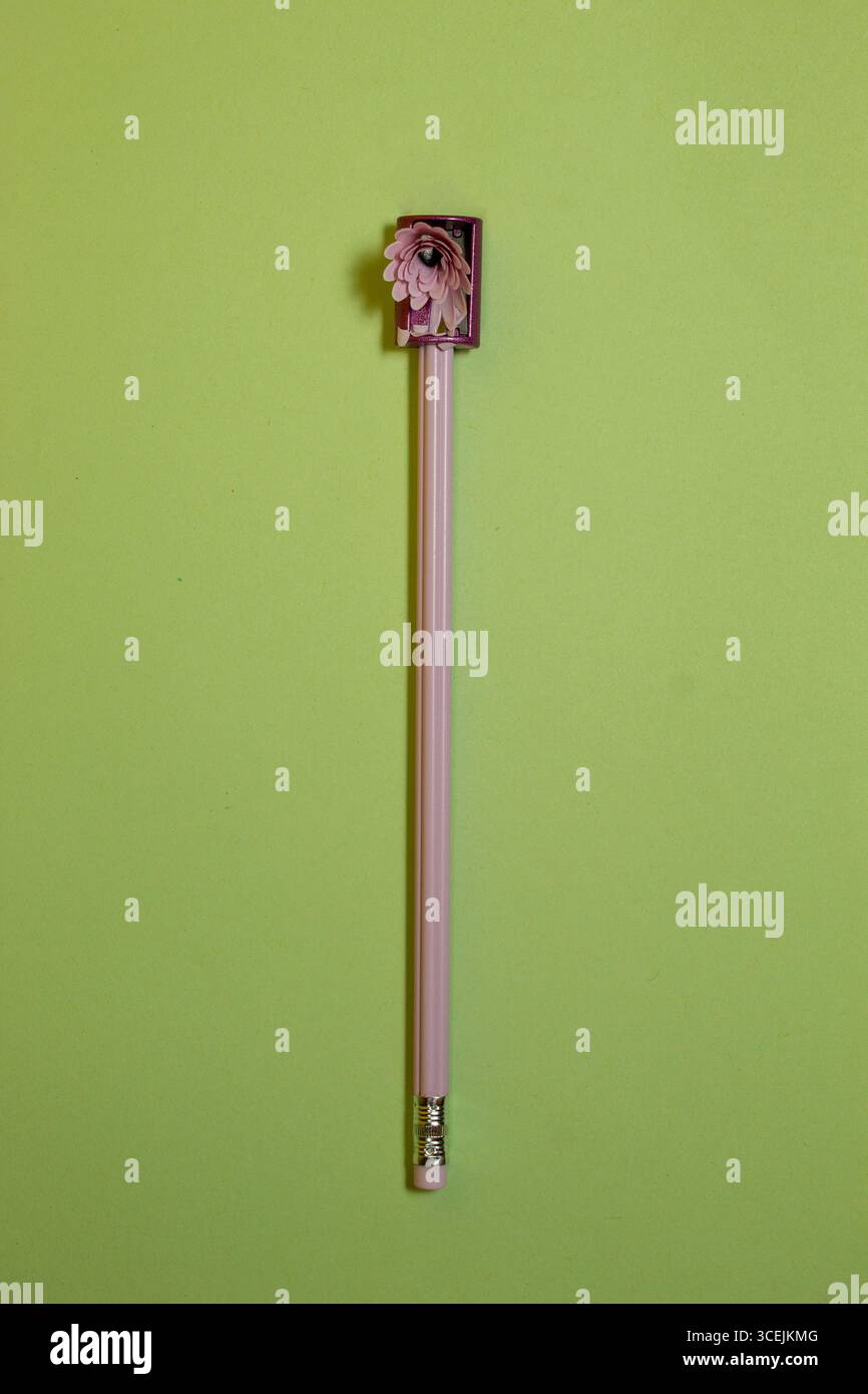 Purple graphite pencils of pastel green surface. Back to school Stock ...