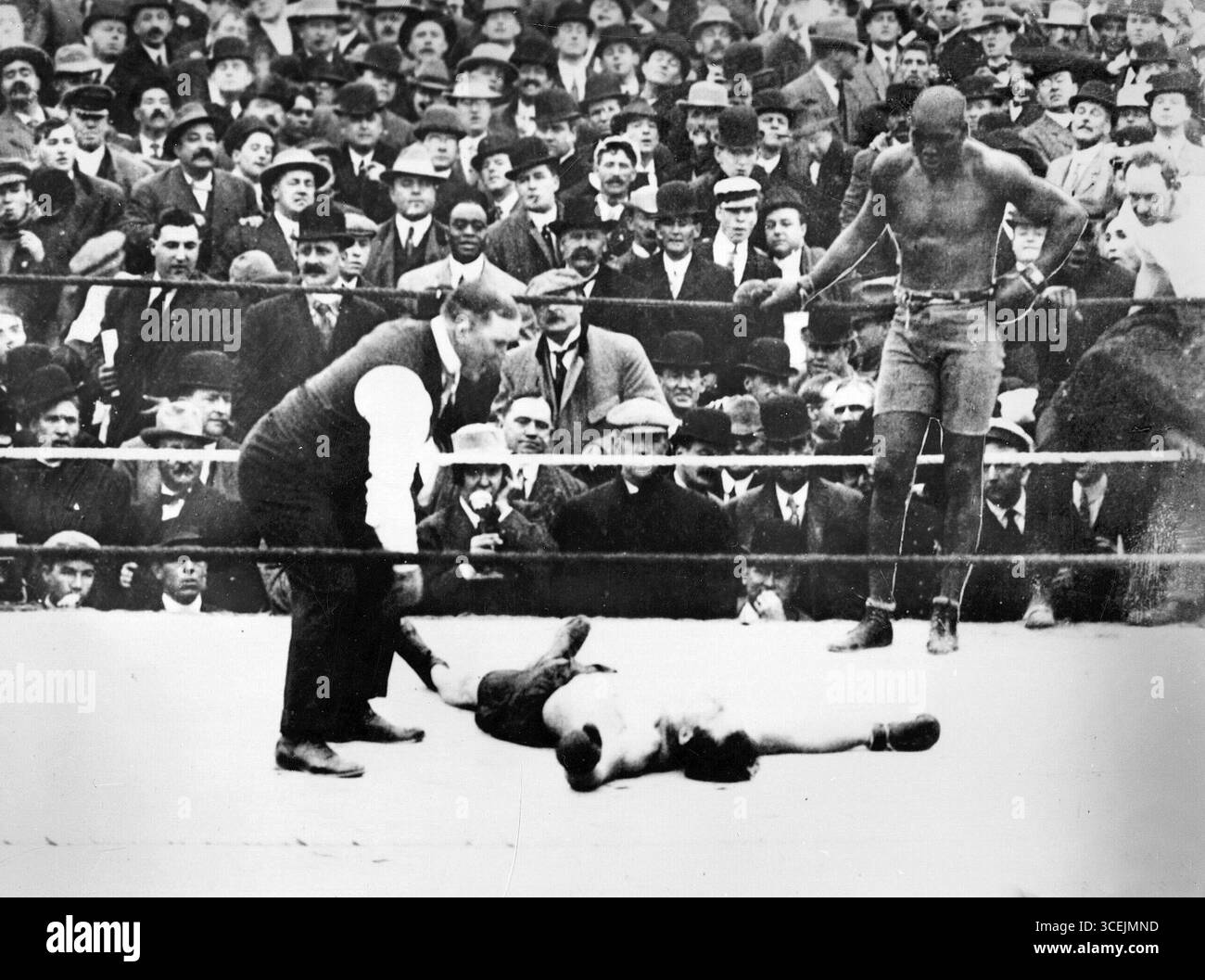 Boxer Jack Johnson has just knocked out Stanley Ketchel, 1909 Stock ...