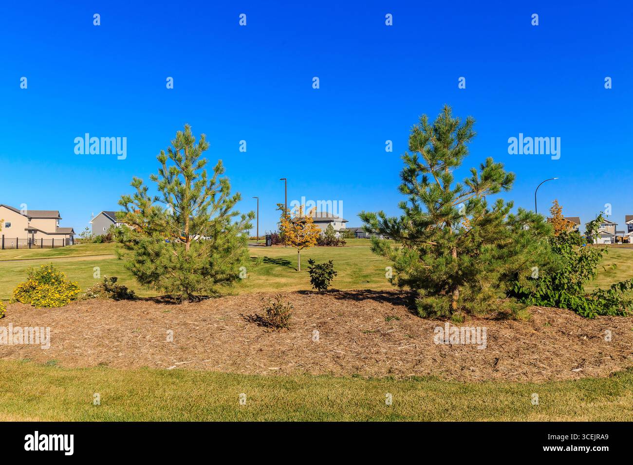 Peter H. Currie Park is located in the Kensington neighborhood of ...