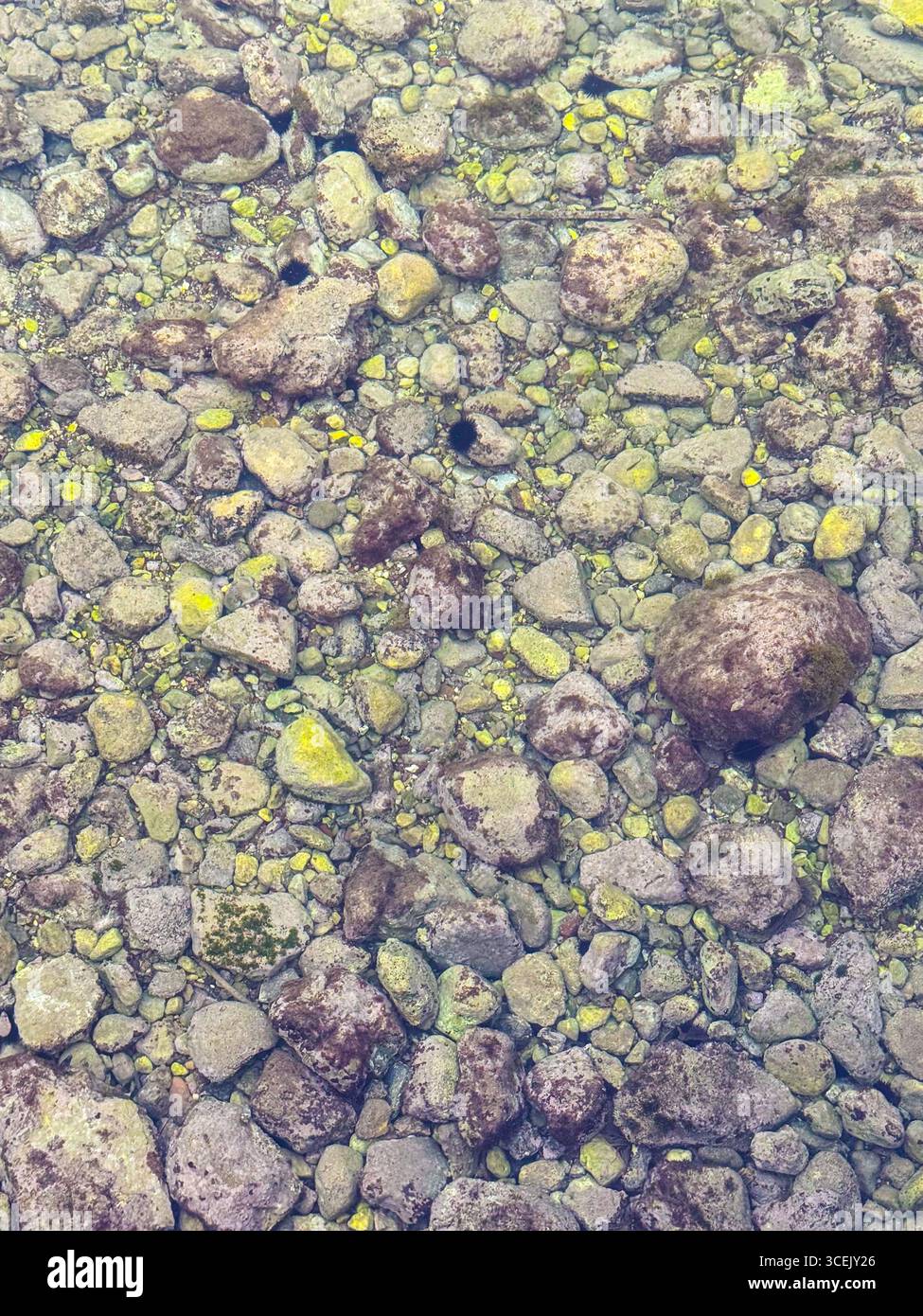 Colorful stones visible through transparent hi-res stock photography ...