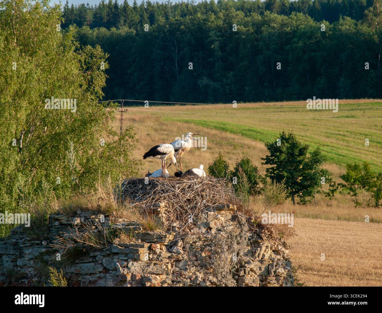 Vastseliina linnus hi-res stock photography and images - Alamy