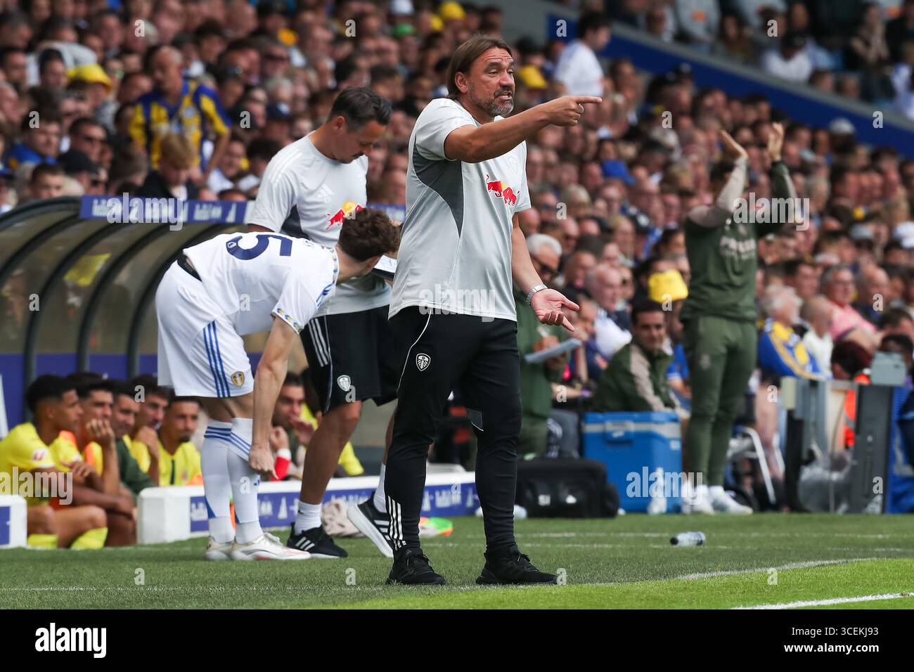 Leeds United Manager Daniel Farke gives instructions to his team during ...