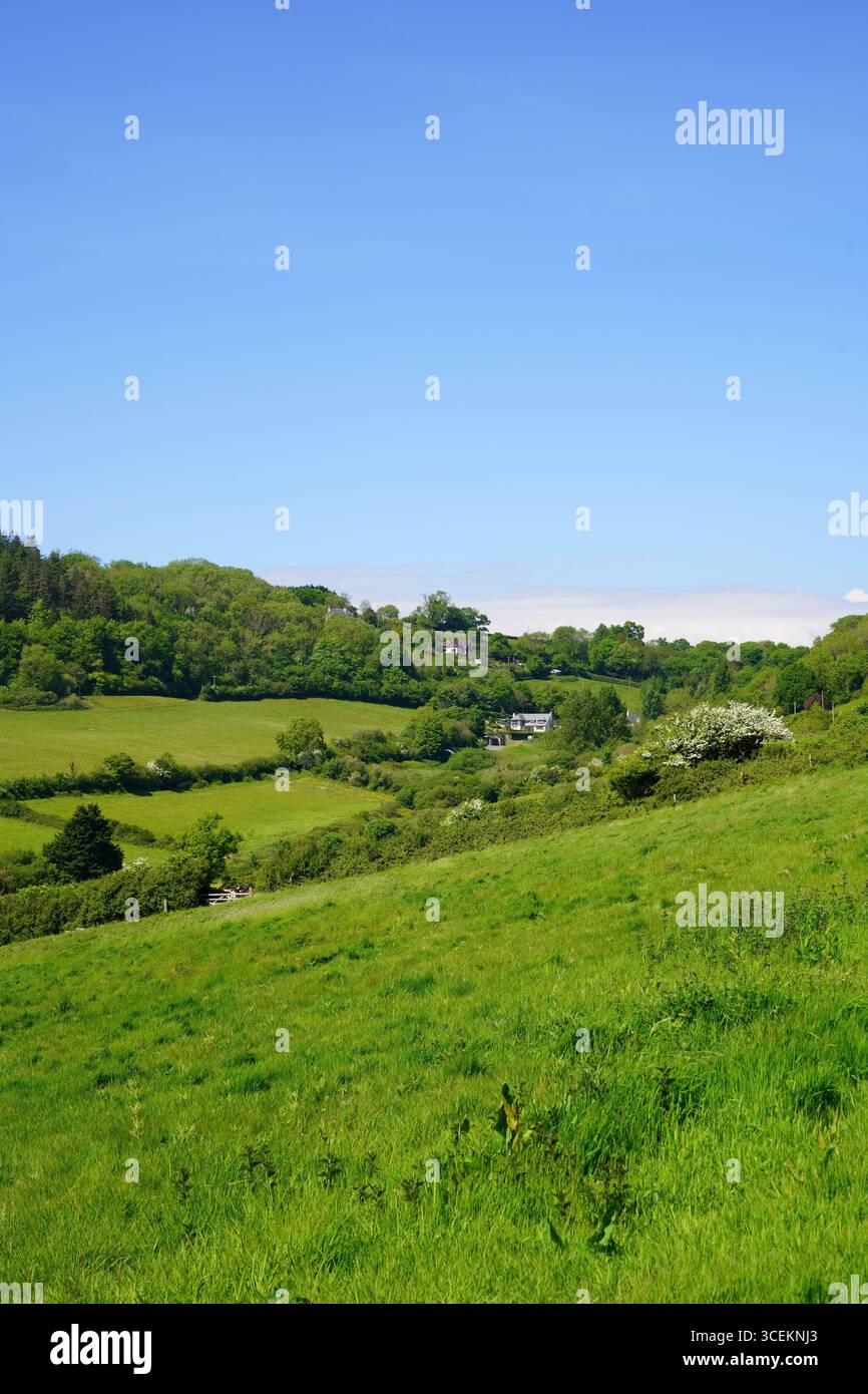 South combe farm hi-res stock photography and images - Alamy