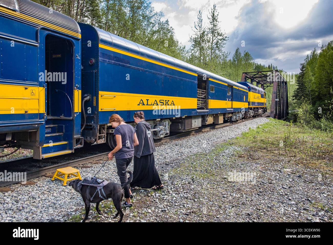 Women walking with dog alongside the Alaska Railroad Hurricane Turn ...