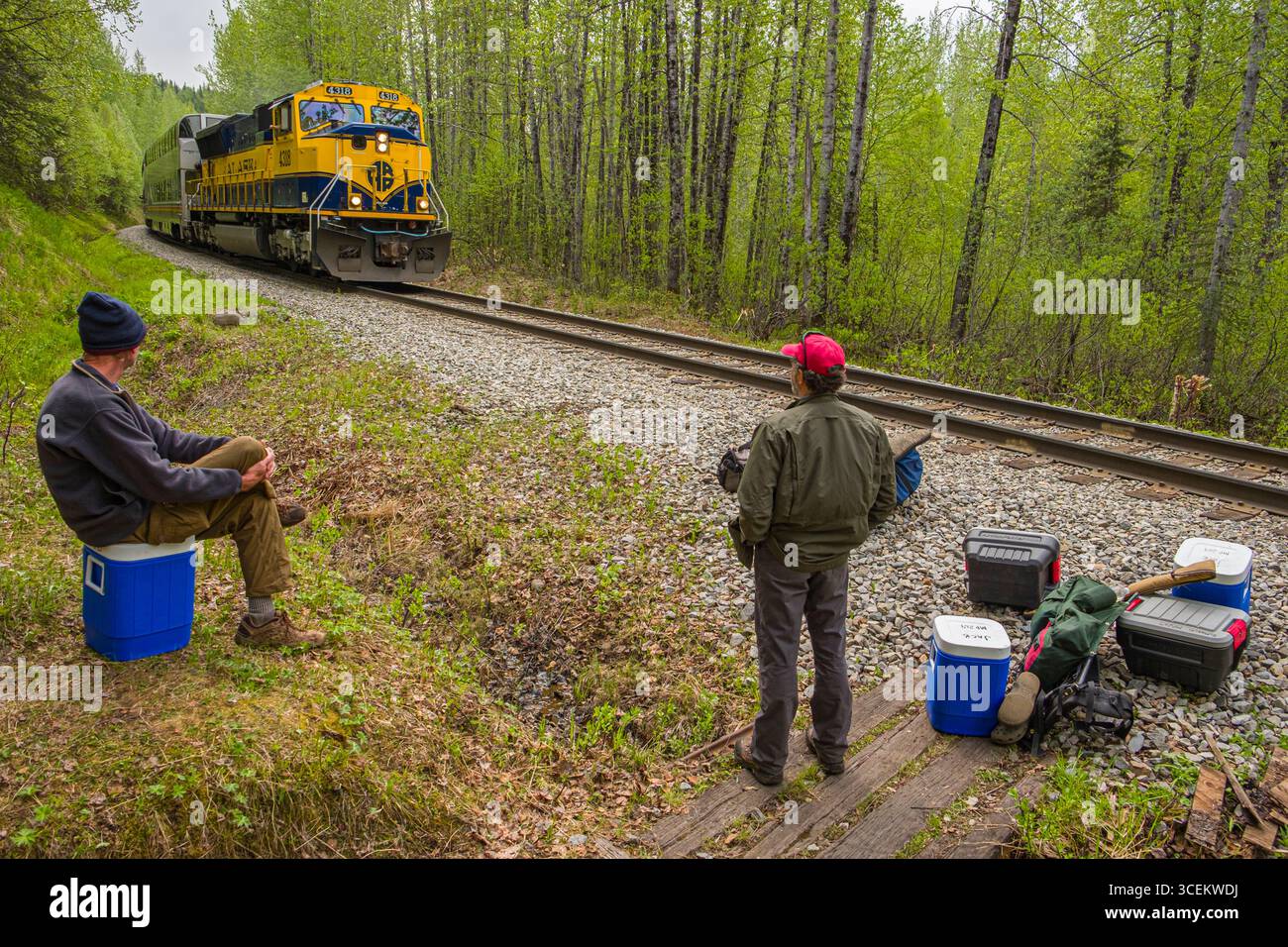 Alaska Railroad premier tourist train “The Denali Star” passing men ...