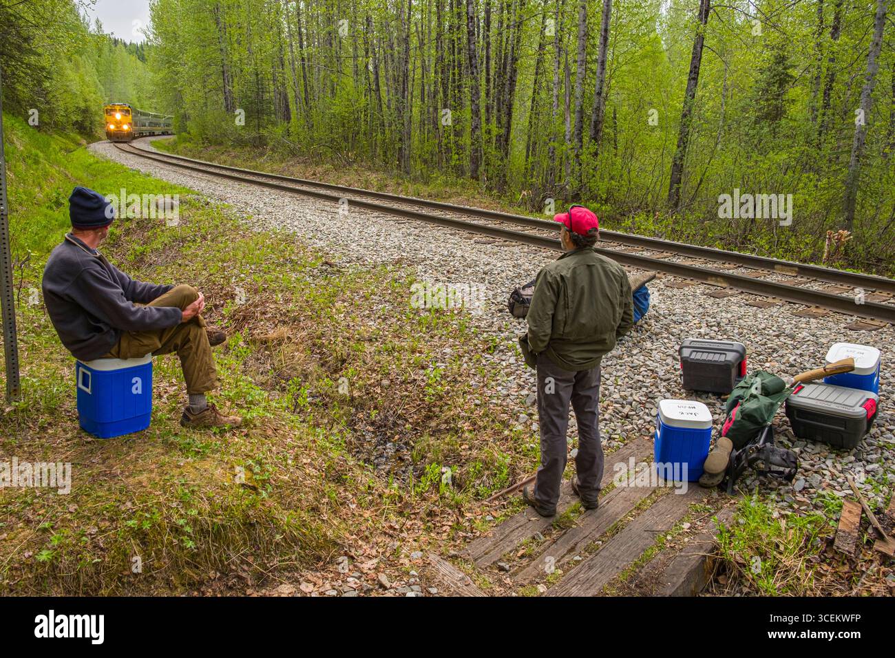 Alaska Railroad premier tourist train “The Denali Star” passing men ...