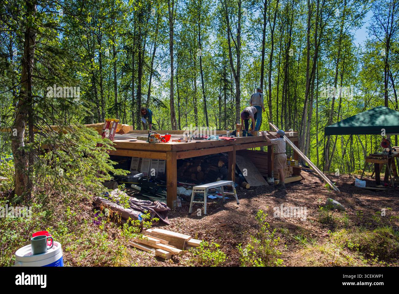 People working on construction of remote Alaskan cabin, Indian River ...