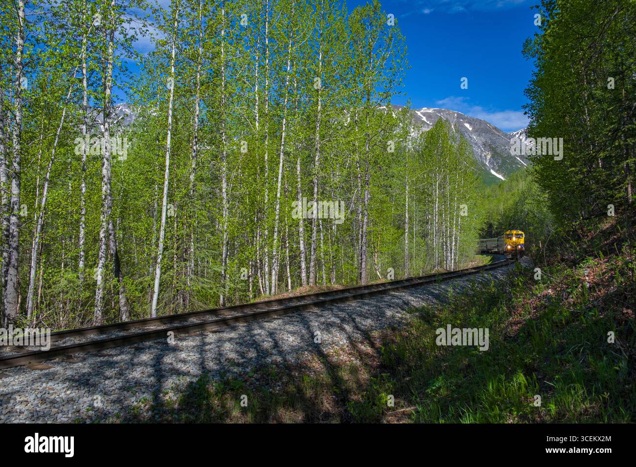 Alaska Railroad premier tourist train “The Denali Star”, Matanuska ...