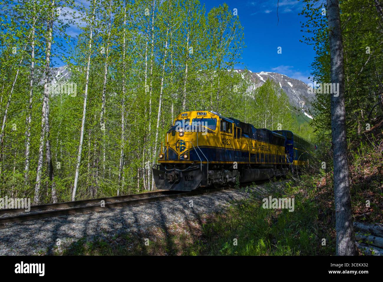 Alaska Railroad premier tourist train “The Denali Star”, Matanuska ...