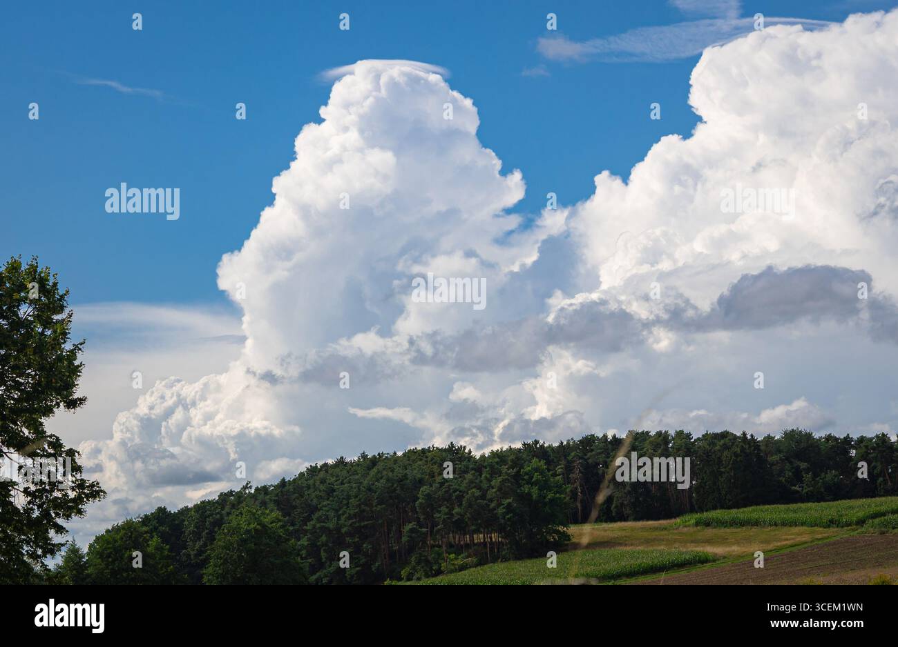 Tall growing cumulus clouds with a small cap at the top, called pileus ...