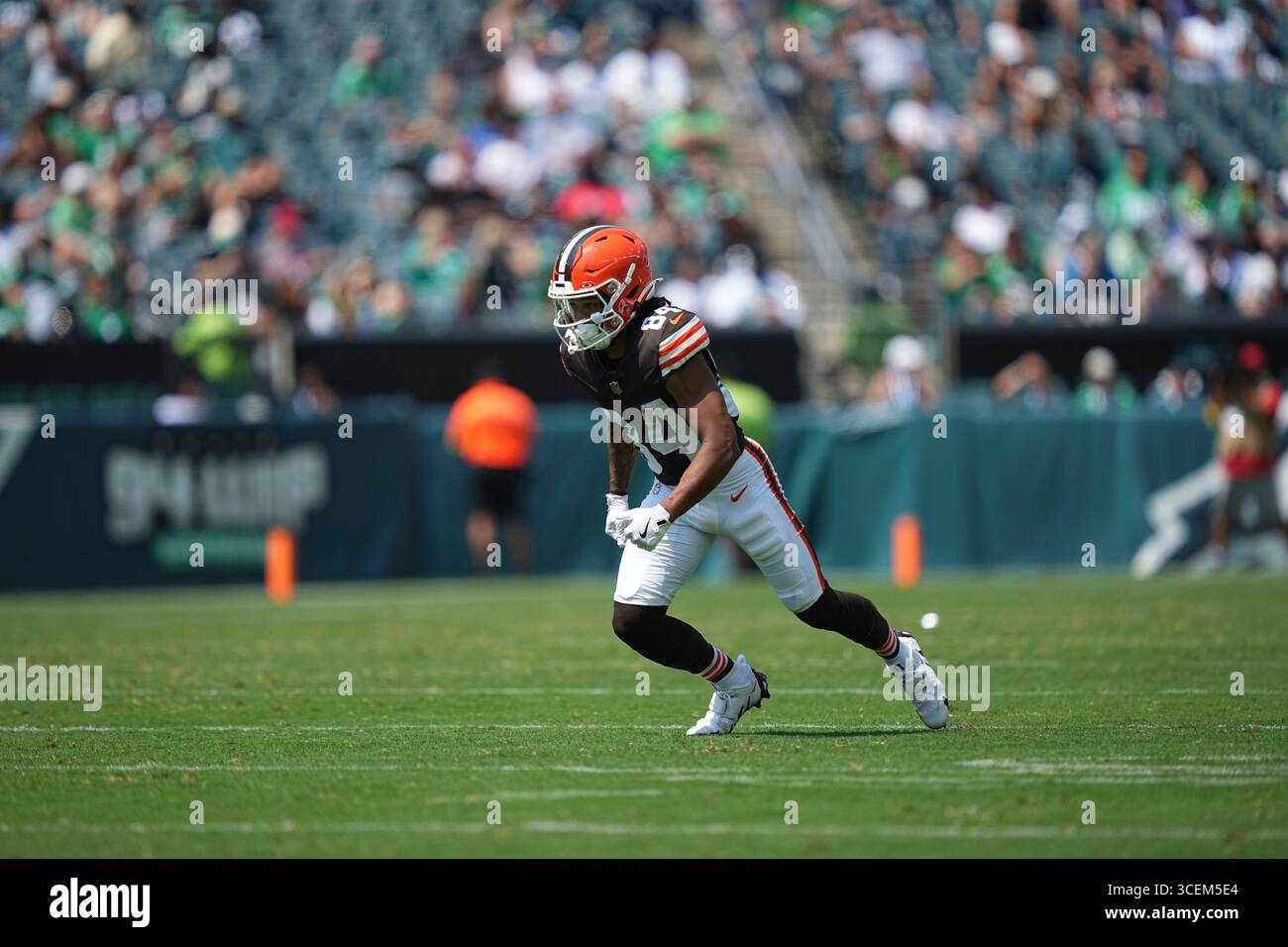 Cleveland Browns wide receiver Gage Larvadain in action during an NFL ...