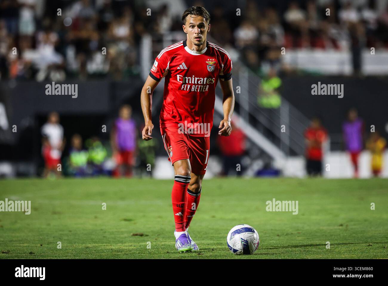 Amar DEDIC of Benfica during the Portuguese championship, Liga Portugal ...