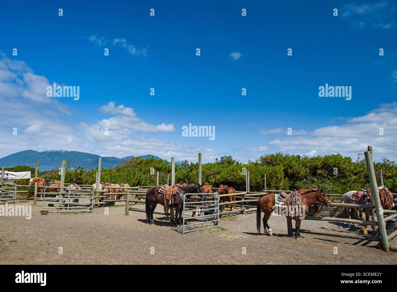 Horse rental stables, Nehalem Bay State Park, Tillamook County, Oregon ...