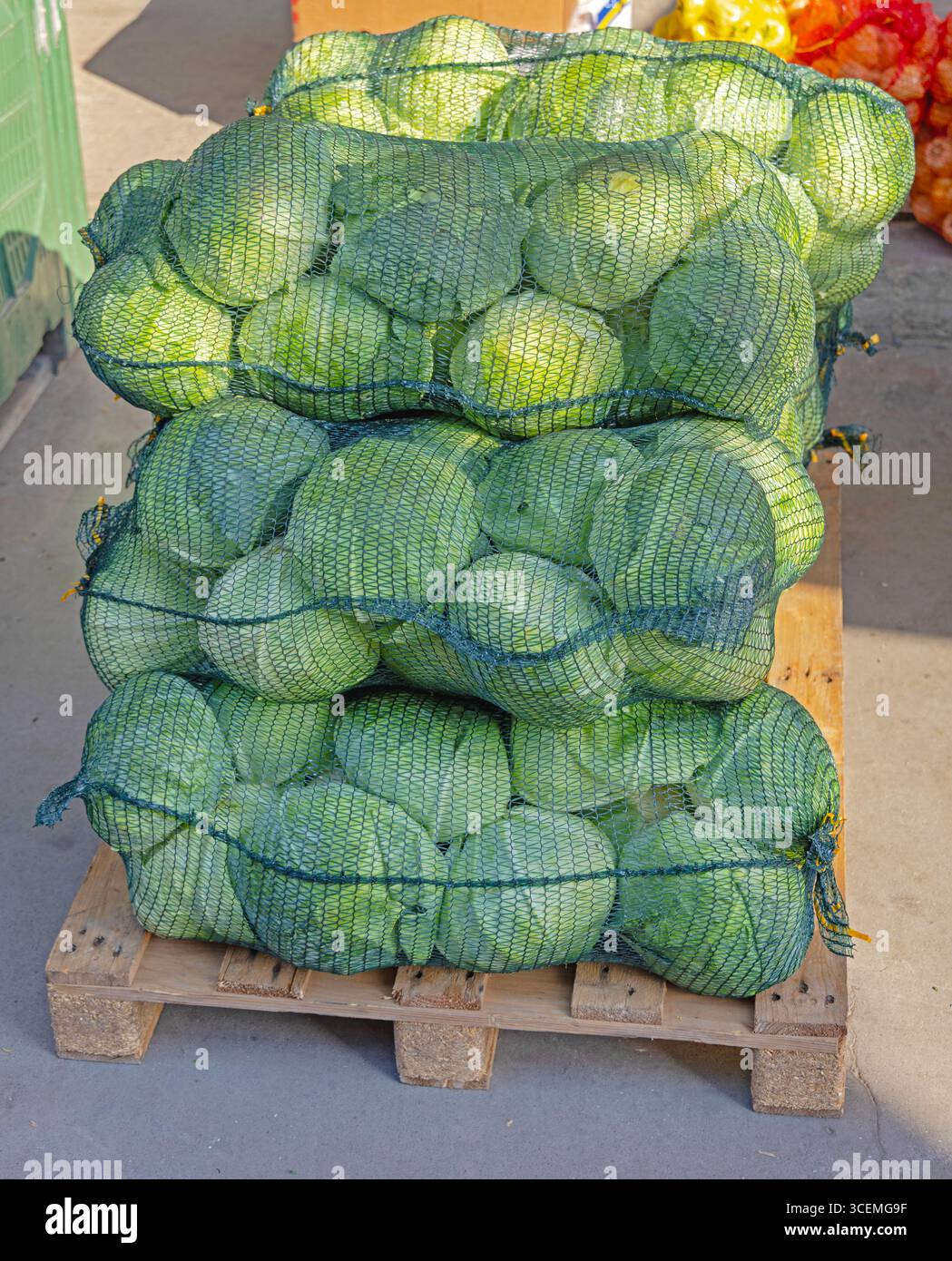 Cabbage in net bags hi-res stock photography and images - Alamy