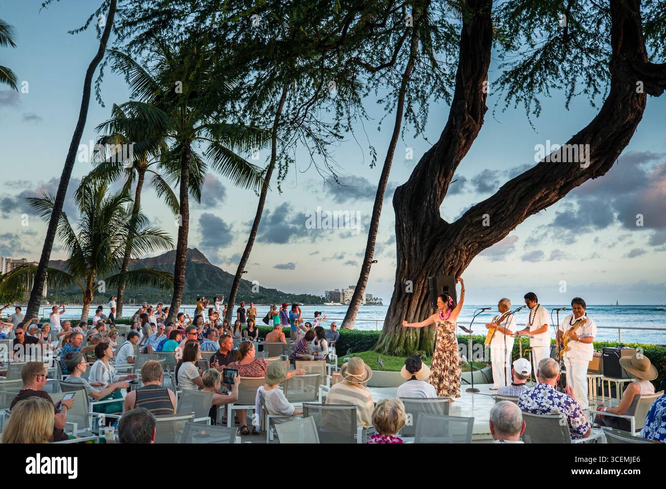 Hawaiian musicians and female hula dancer entertain patrons under a ...