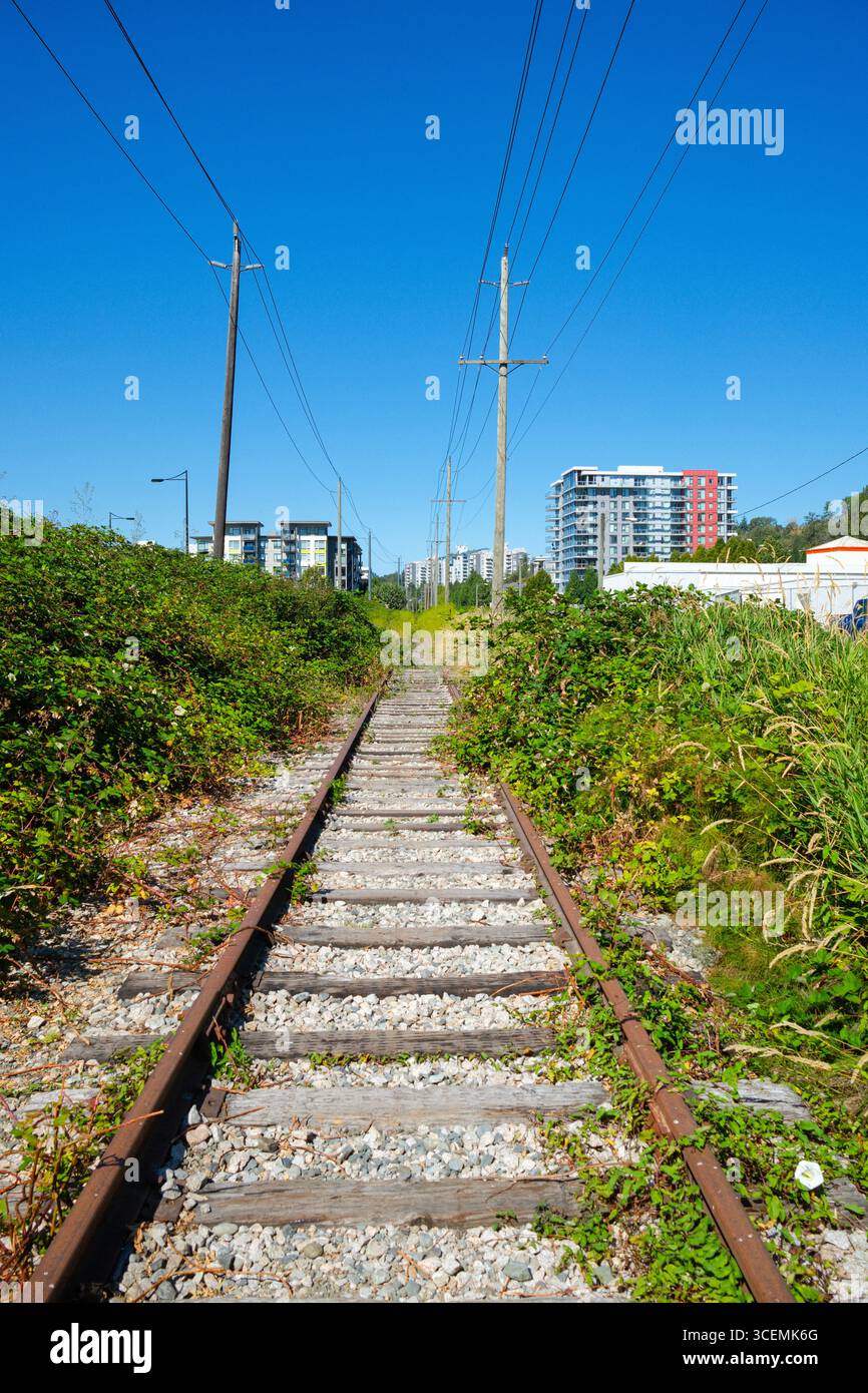 Train tracks with black berries encroaching in the River District of ...