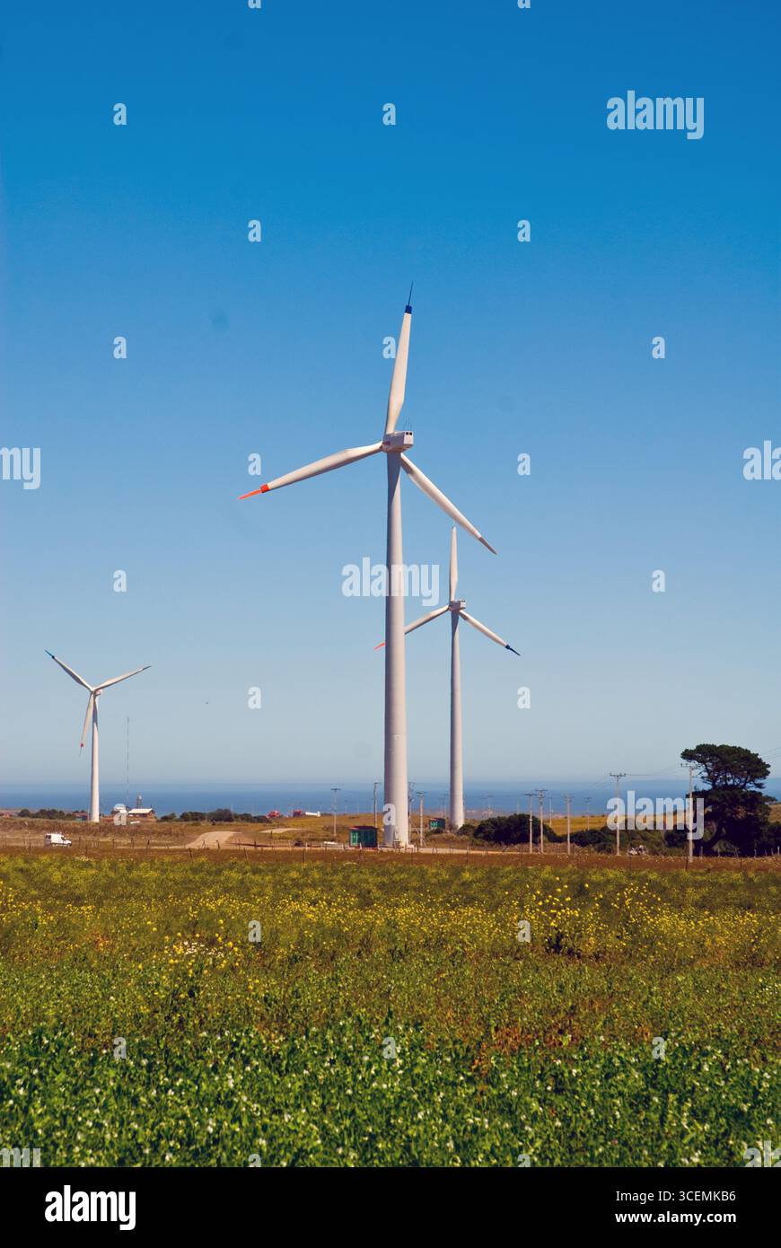 Wind towers in Lebu, Concepcion Chile Stock Photo - Alamy