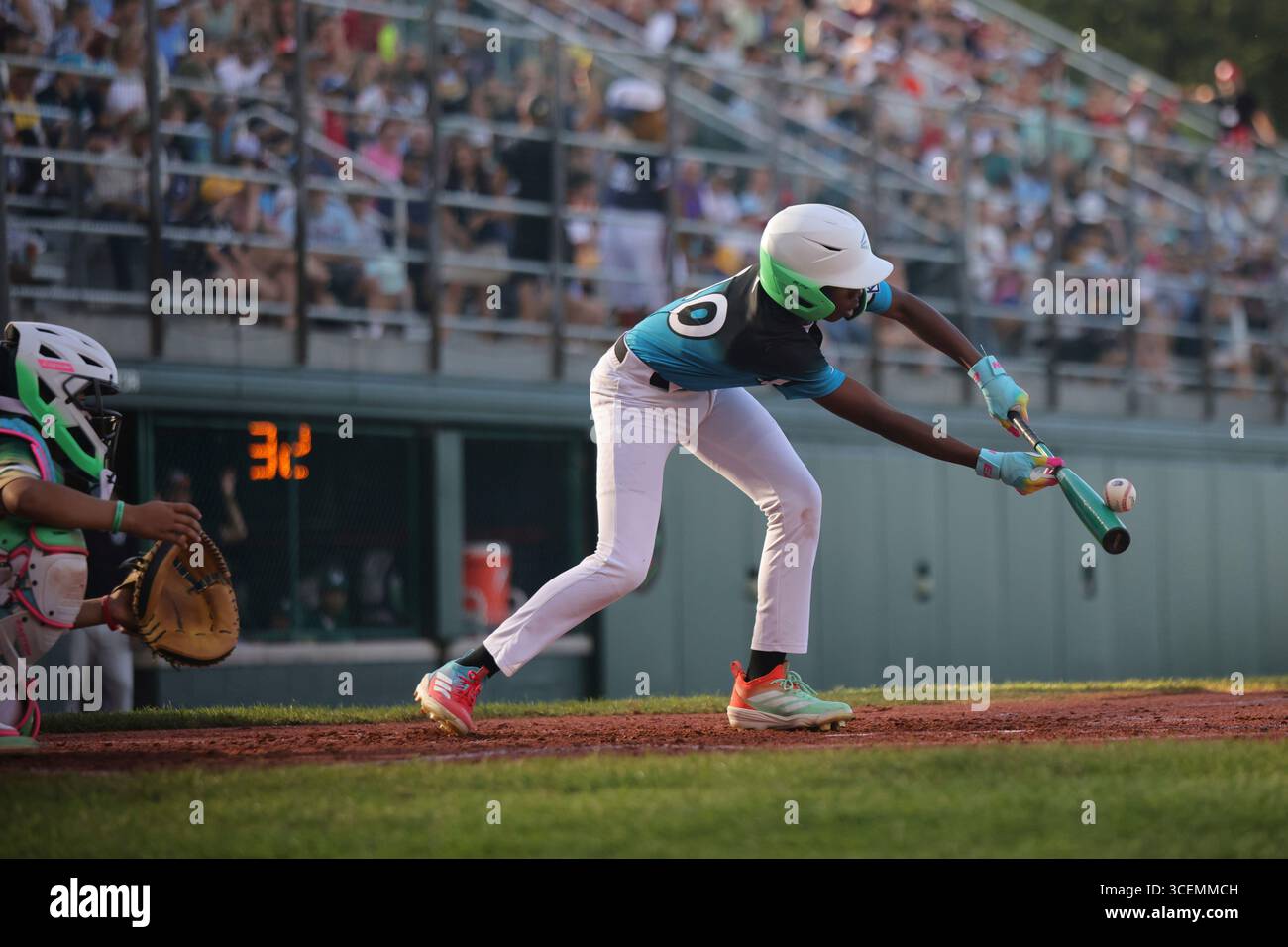 Aruba's Cayden Fraser attempts to bunt against Taiwan during the third ...
