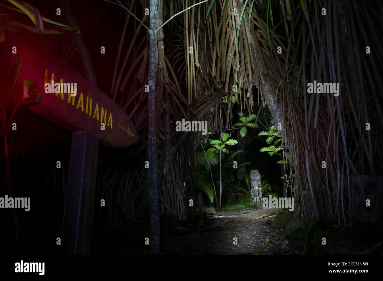 Polynesian wooden Tiki under the roots of the Hala tree at night, Camp ...