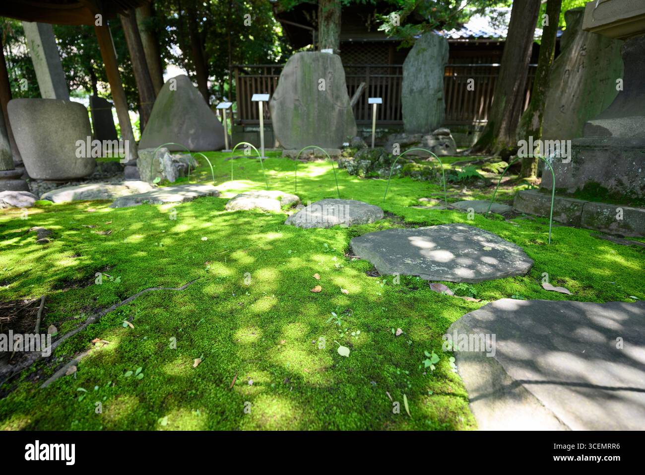 Mimeguri Jinja, Sumida-ku, Tokyo, Japan Stock Photo - Alamy