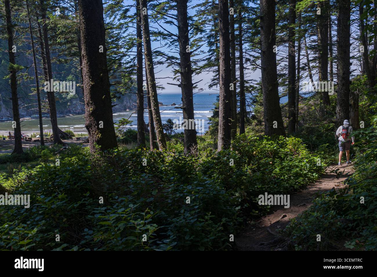 Short Sands Beach seen from Cape Falcon Trail, Oswald West State Park ...