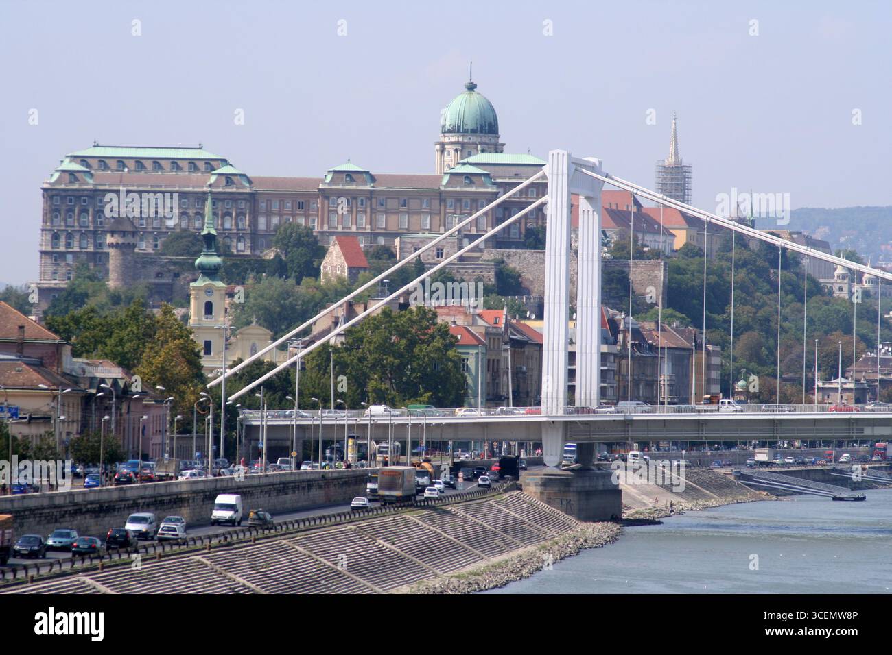 the elizabeth bridge with buda castle in budapest Stock Photo - Alamy