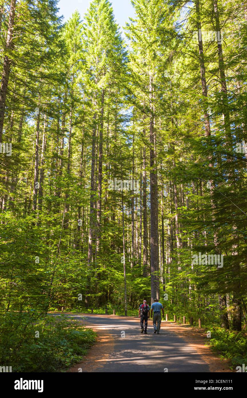 People walking on road at Lower Falls Campground in the Gifford Pinchot ...