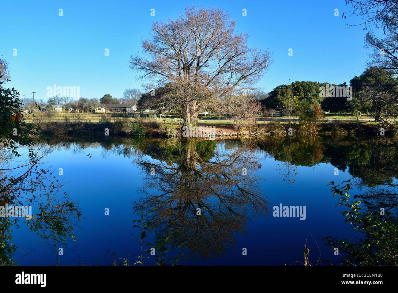 Tree Reflection at Dawn on the Blanco River, Blanco State Park, Texas ...