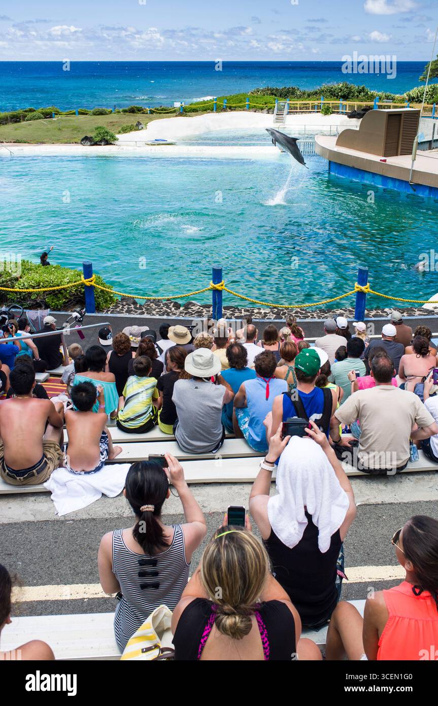Large group of people sitting on bleachers watching the Dolphin Cove ...