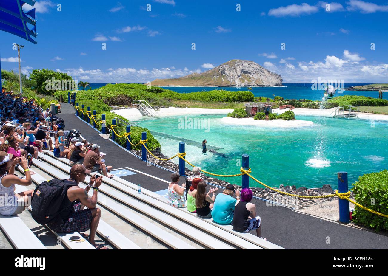 Large group of people sitting on bleachers watching the Dolphin Cove ...