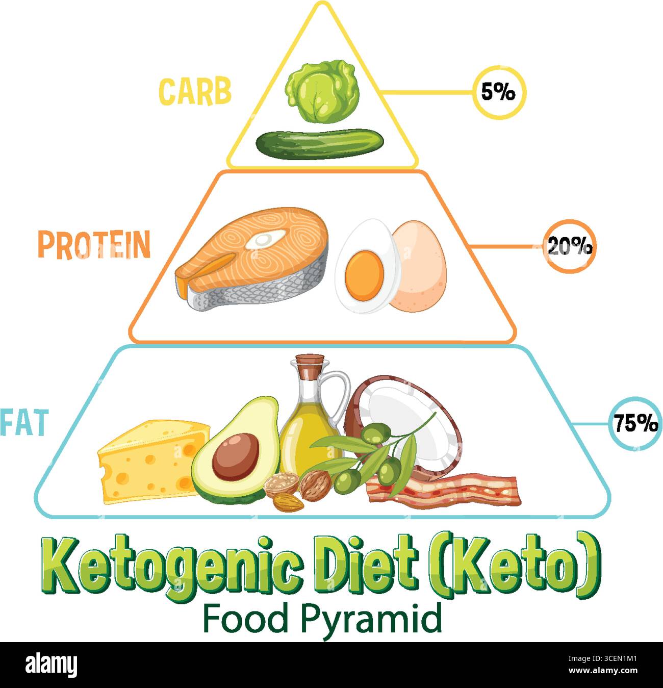 Vector illustration of a ketogenic diet pyramid highlighting fat ...