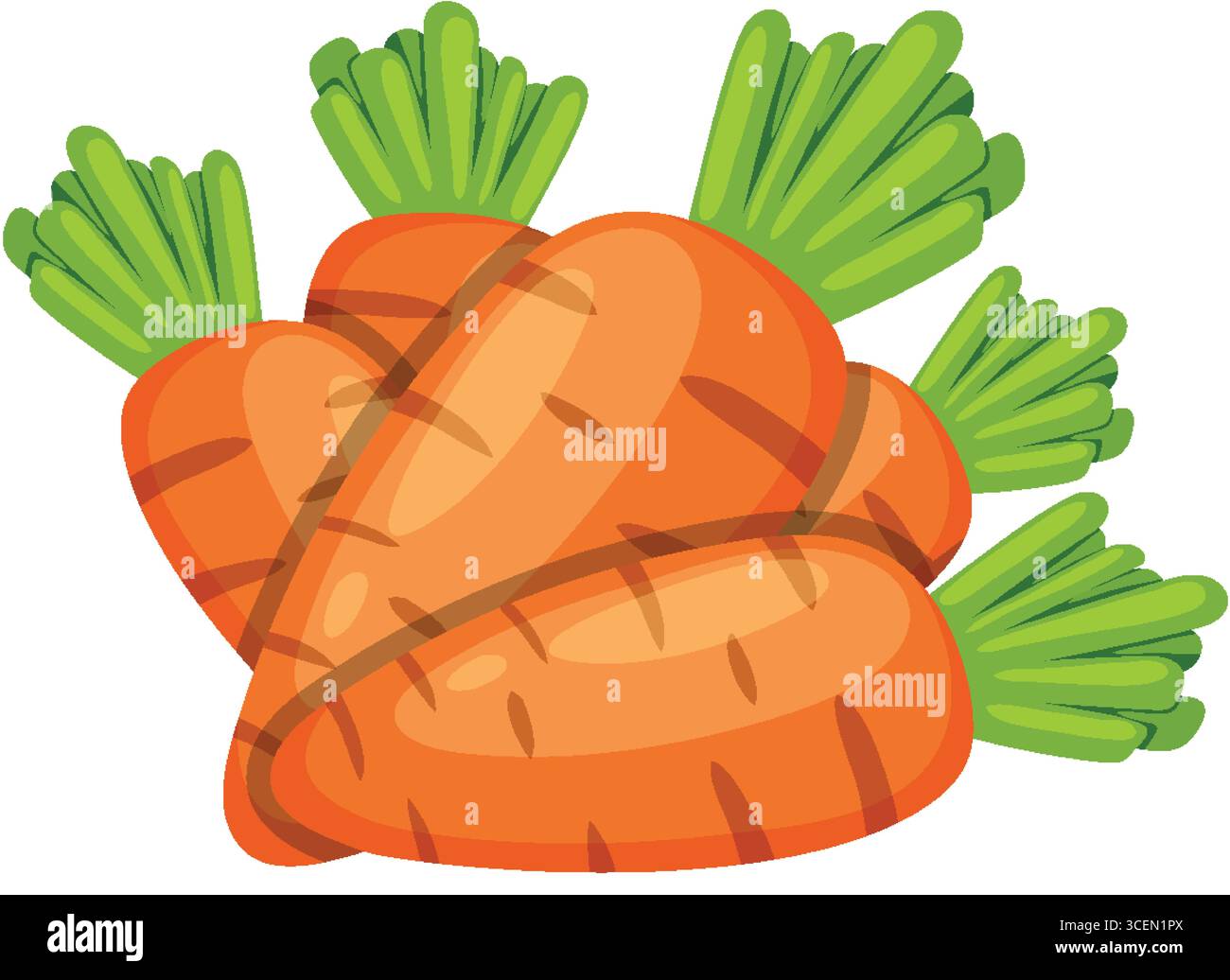 Vector illustration of several orange carrots with leafy green tops ...