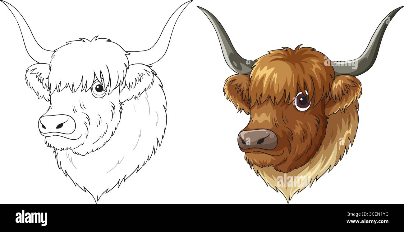 Cartoon-style Highland cow head shown in both detailed color and black ...