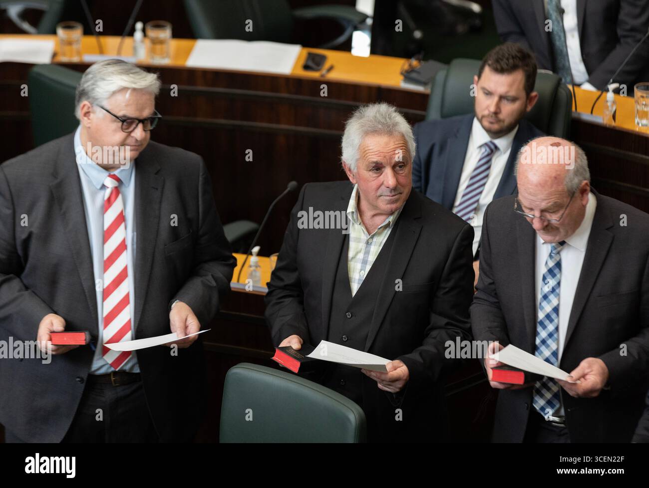 Brian Mitchell MP, Carlo Di Falco MP and Mark Shelton MP during a ...