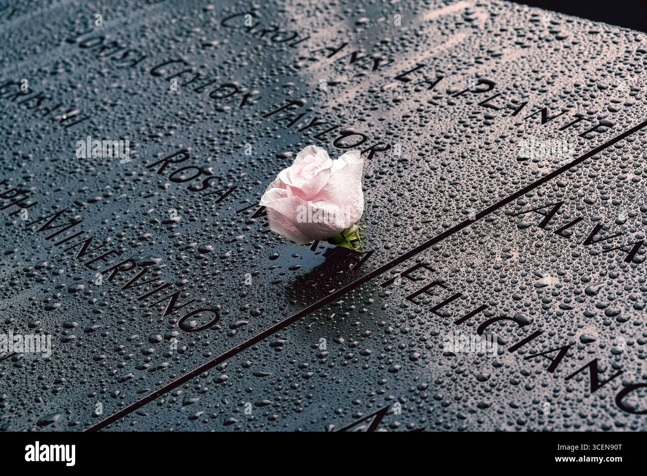 January 15 2025 new hi-res stock photography and images - Alamy