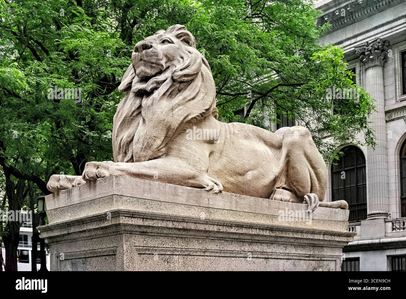 New York, USA - June 17, 2025: The lion statue of New York Public ...