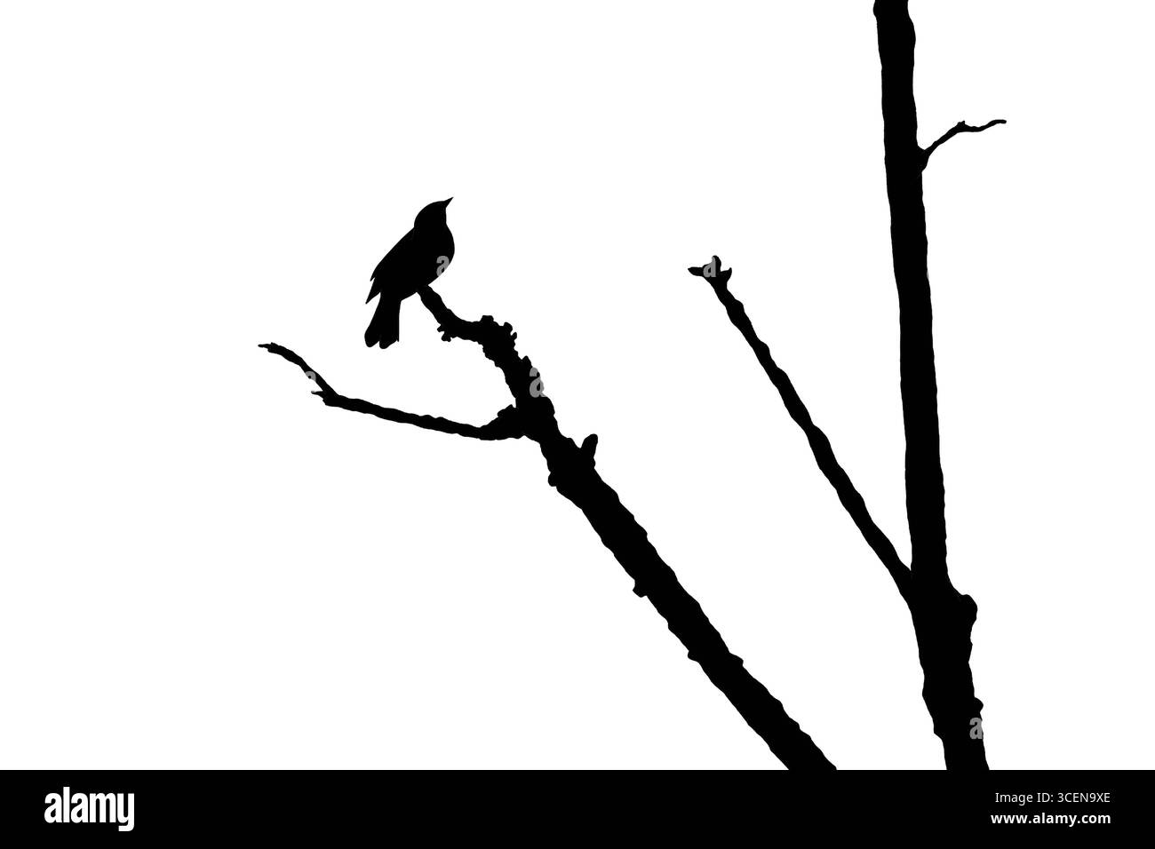 Leafless branch background Stock Vector Images - Alamy