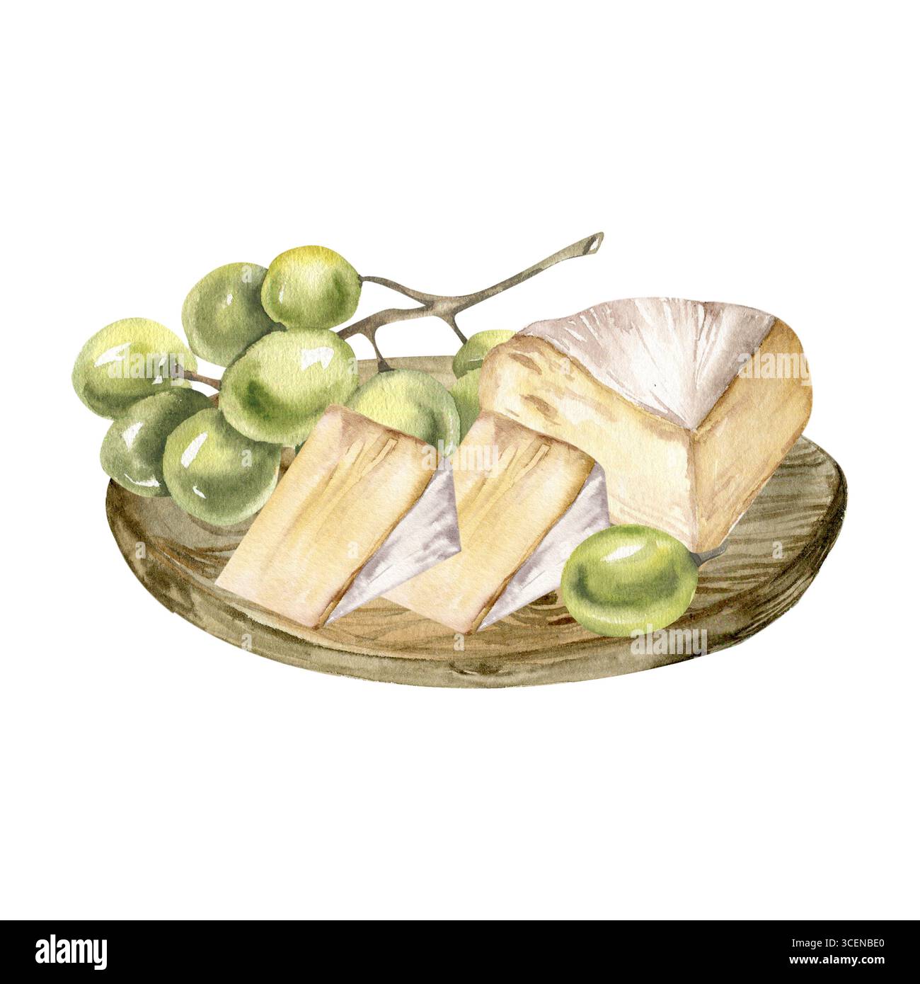 Cheese plat with camembert whole head and pieces, decorated with green ...