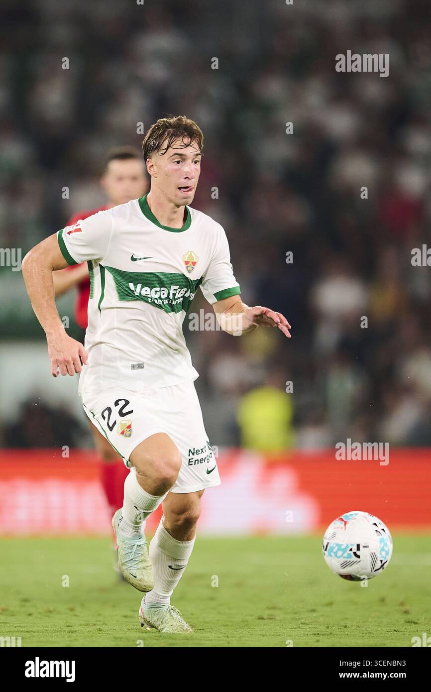 David affengruber elche 2025 hi-res stock photography and images - Alamy