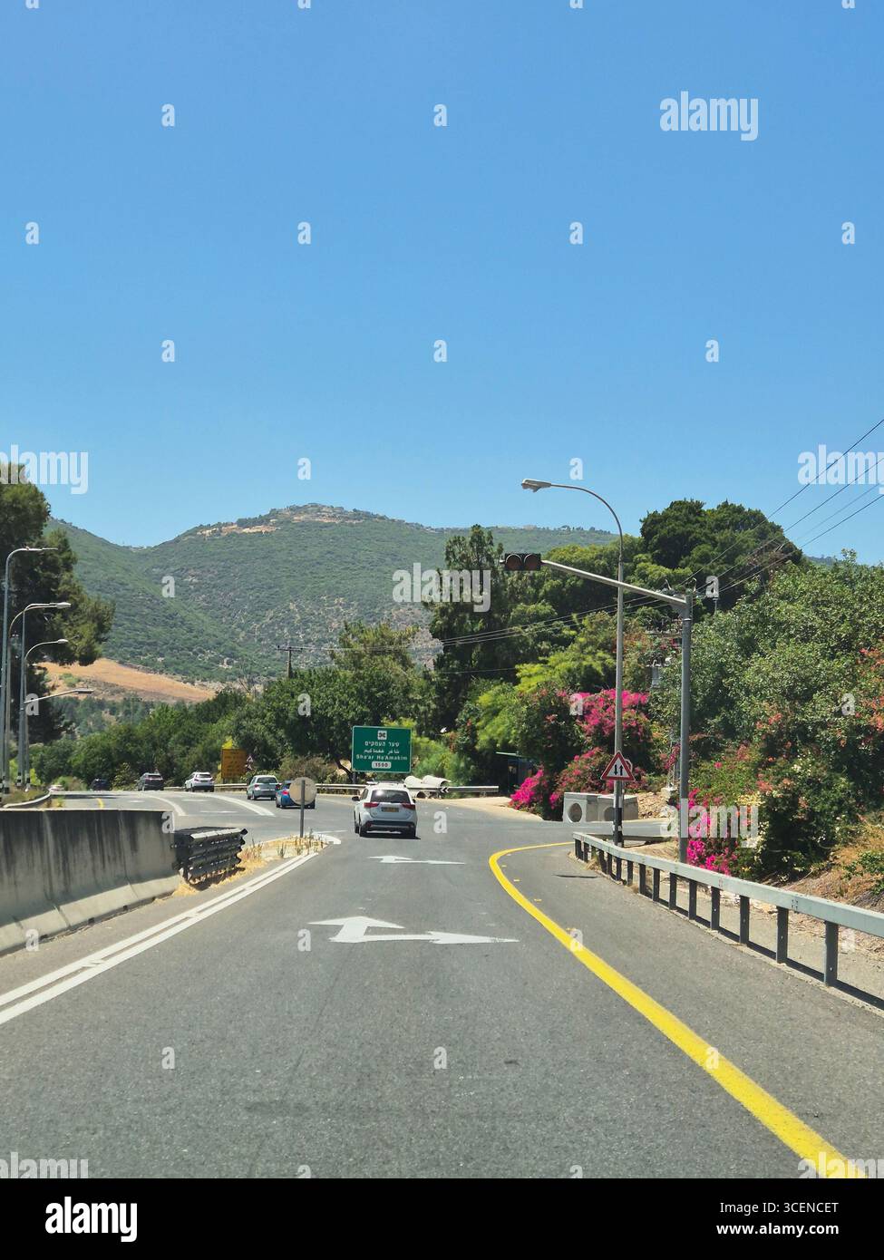 Tree lined drive with lights hi-res stock photography and images - Alamy