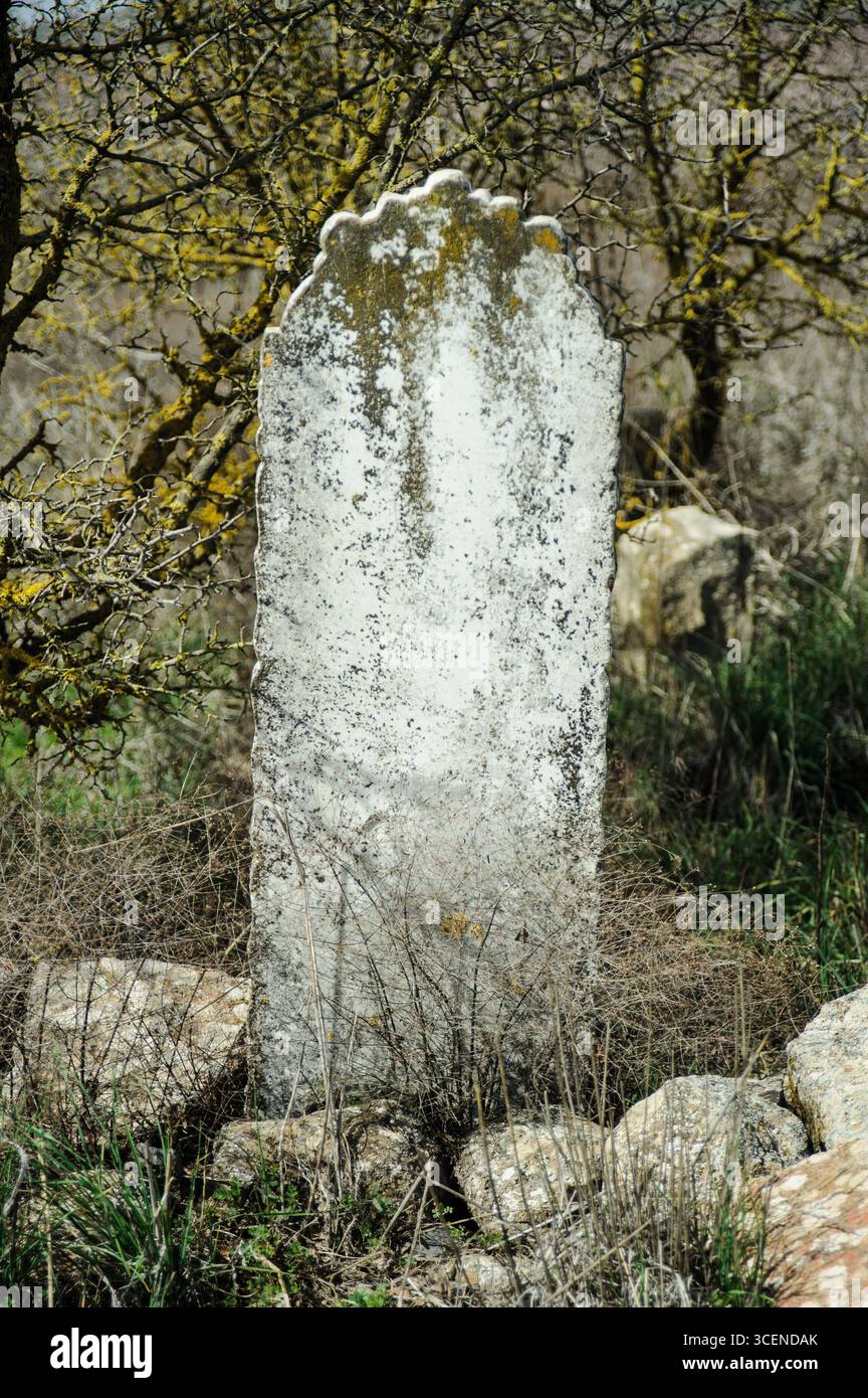 Unmarked graves and headstones in an untended, overgrown cemetery in ...