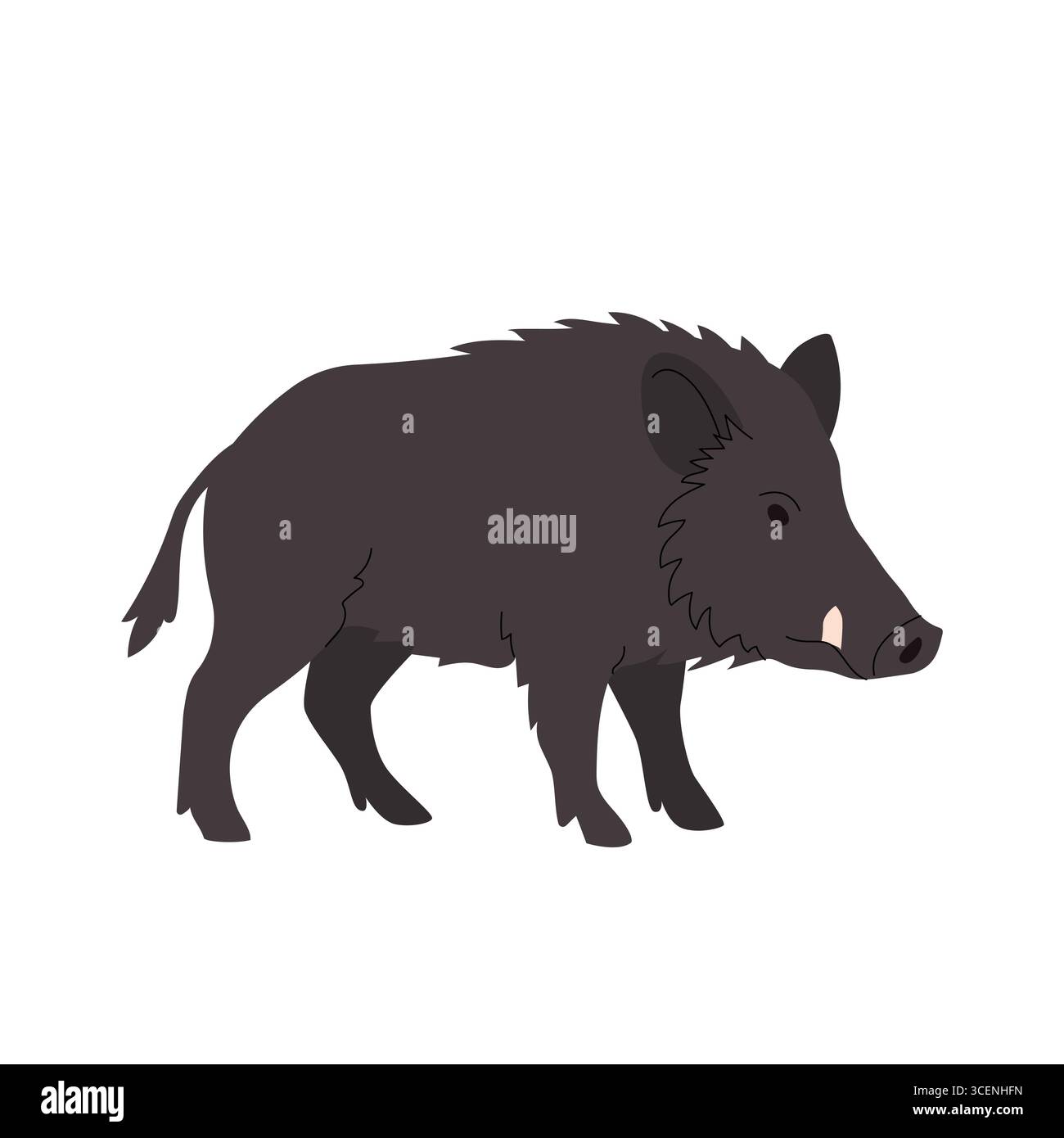 Illustration wild boar hi-res stock photography and images - Alamy