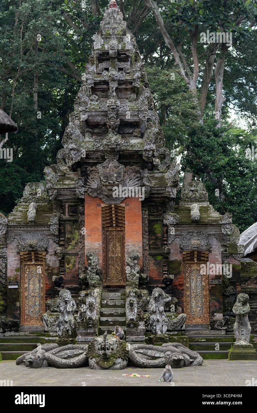 Monkey in ubud tropical hi-res stock photography and images - Alamy