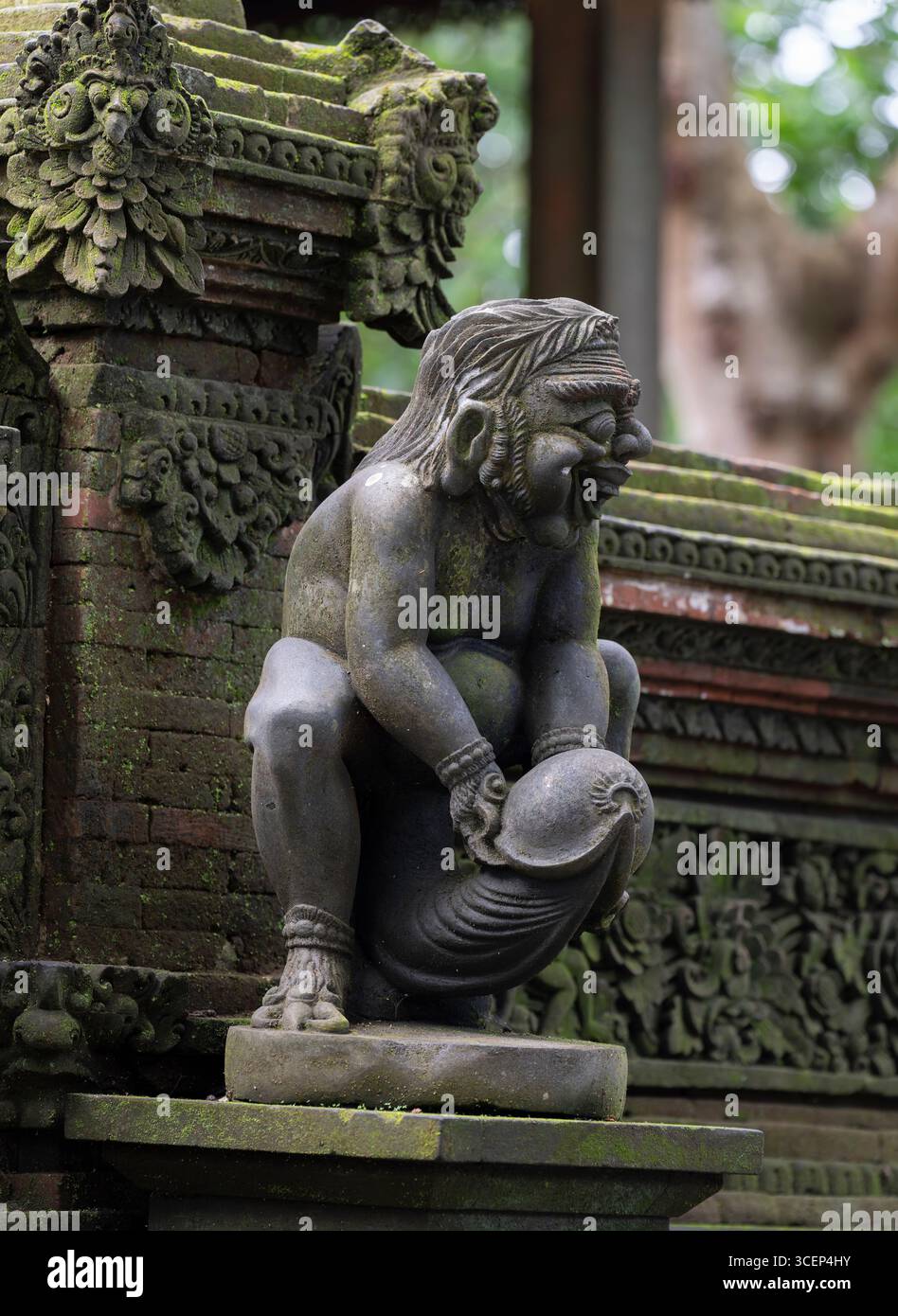 Ubud wildlife sanctuary hi-res stock photography and images - Alamy