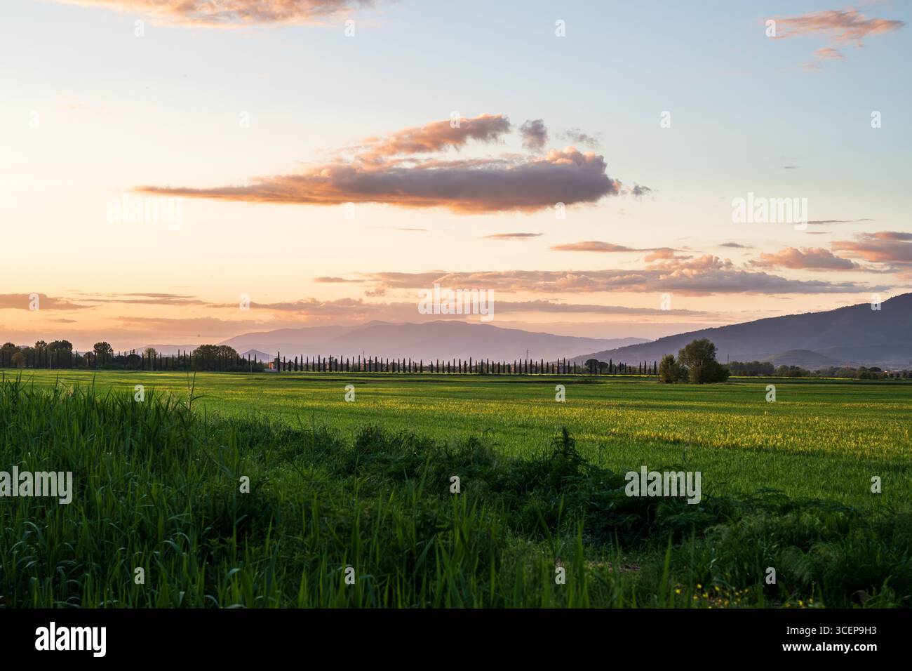 Tuscany, Italy - 24 April 2025: View of the tranquil, bright green ...