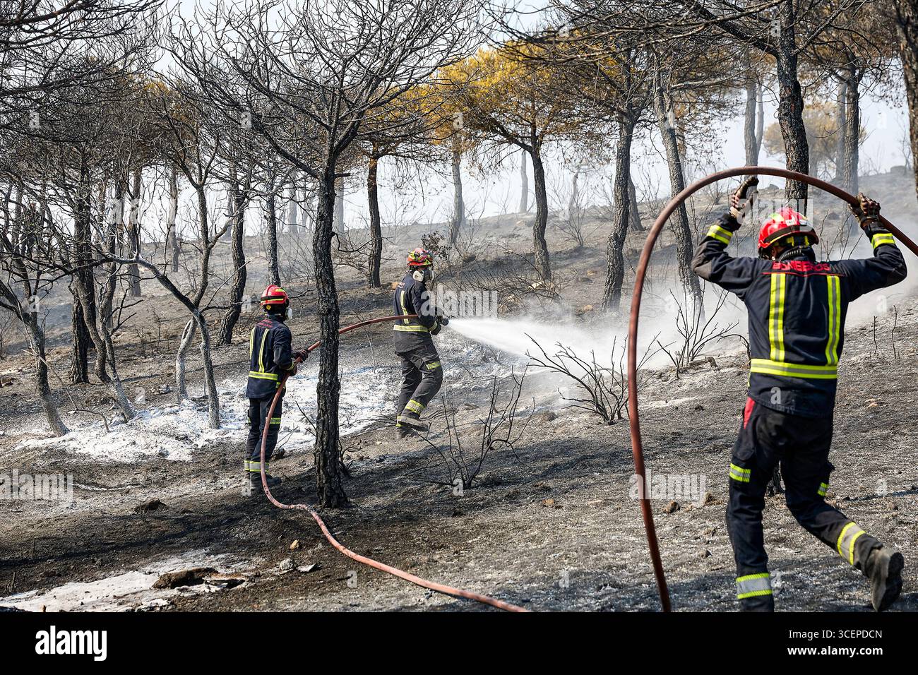 Firefighters from the Community of Madrid hold a hose to extinguish a ...