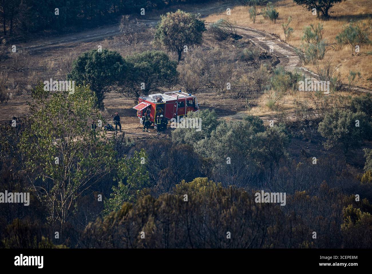 Several firefighters of the Community of Madrid work to extinguish a ...