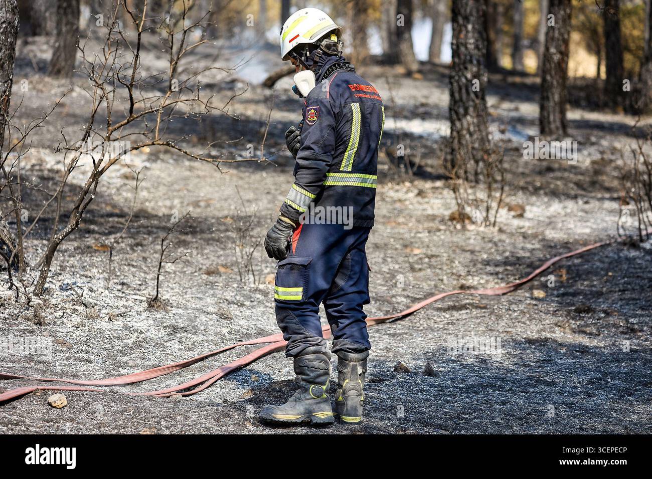 A firefighter of the Community of Madrid next to a hose to extinguish a ...