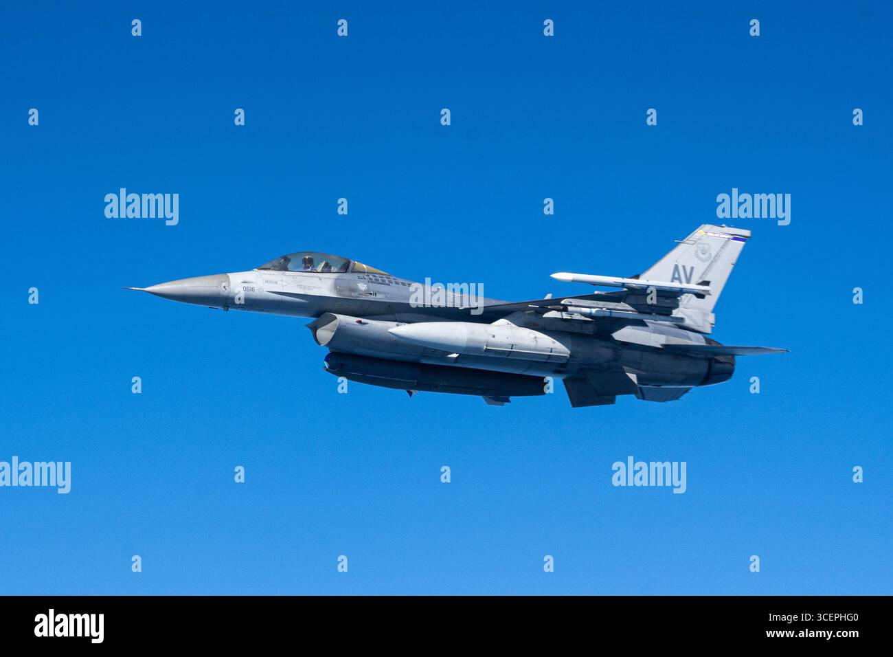 A U.S. Air Force F-16 Fighting Falcon from the 31st Fighter Wing ...